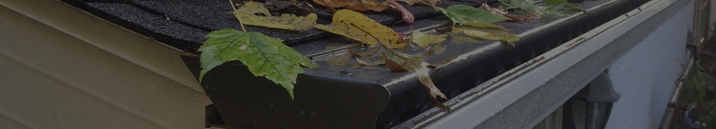 LeaFree™ Gutter Guards Indianapolis IN | Gutter Covers of Indiana